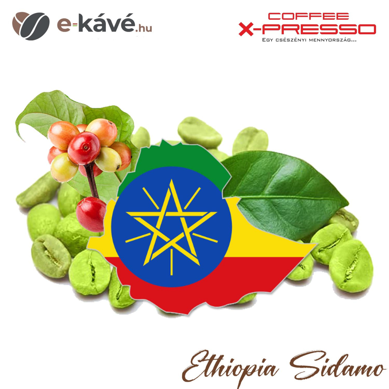 Ethiopia Sidamo - 1203