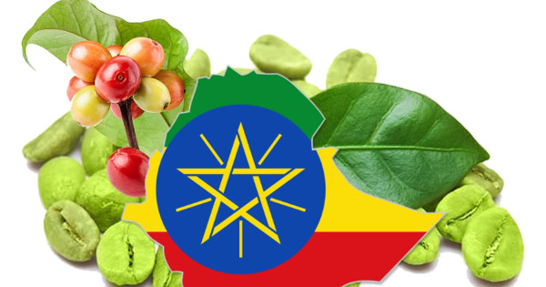 Ethiopia Sidamo - 1203